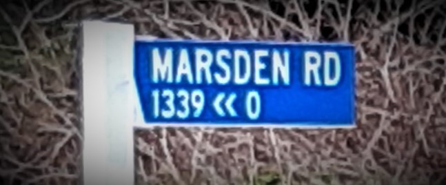 Whats in a Name? | Between 2 Trees