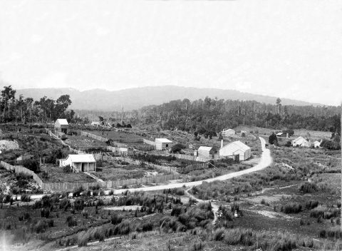 The Streets of Marsden | Between 2 Trees