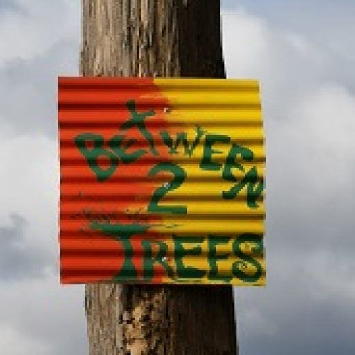 BETWEEN 2 TREES | Between 2 Trees